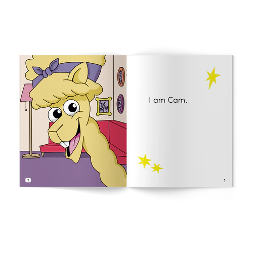 Wild Detectives Stages 1-4 Classroom Bundle – SPELDSA